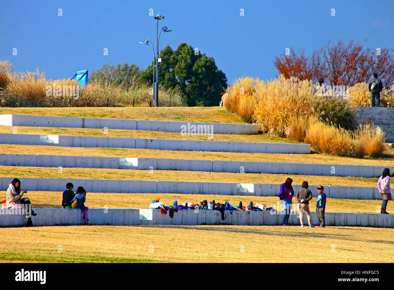 Showa Memorial Park Tachikawa city Tokyo Japan Stock Photo - Alamy
