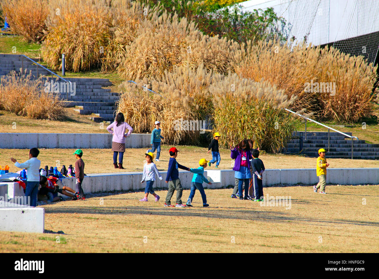 Showa Memorial Park Tachikawa city Tokyo Japan Stock Photo - Alamy