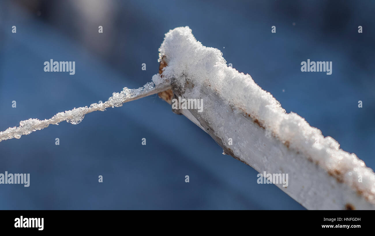 The clothesline covered with ice and snow Stock Photo - Alamy