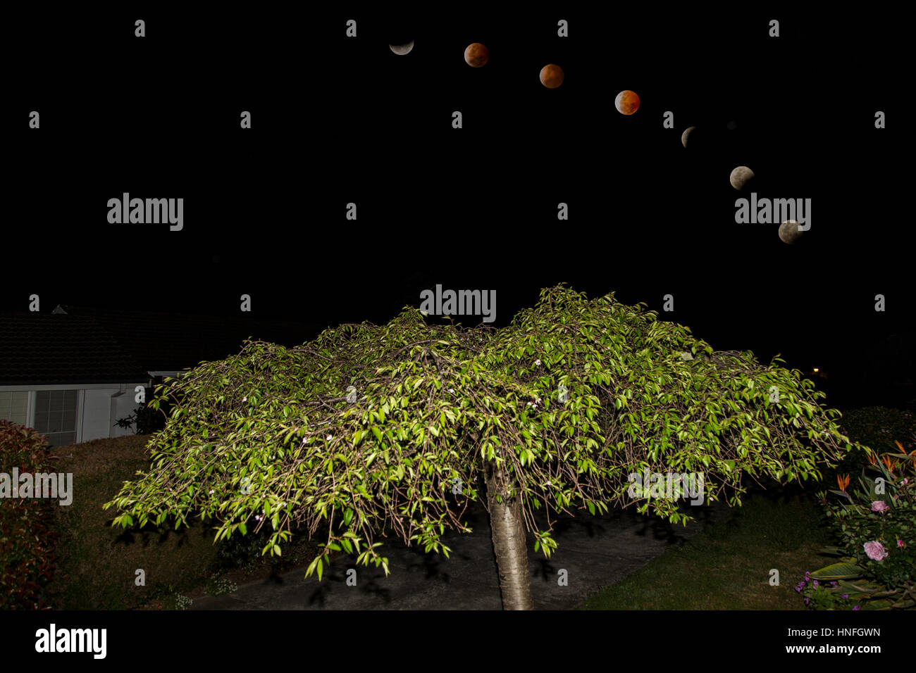 Blood red moon Stock Photo - Alamy