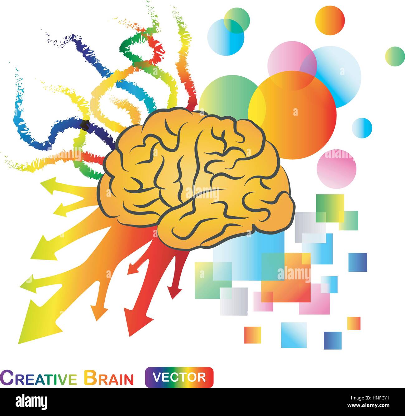Creative / Abstract Brain Stock Vector Image & Art - Alamy