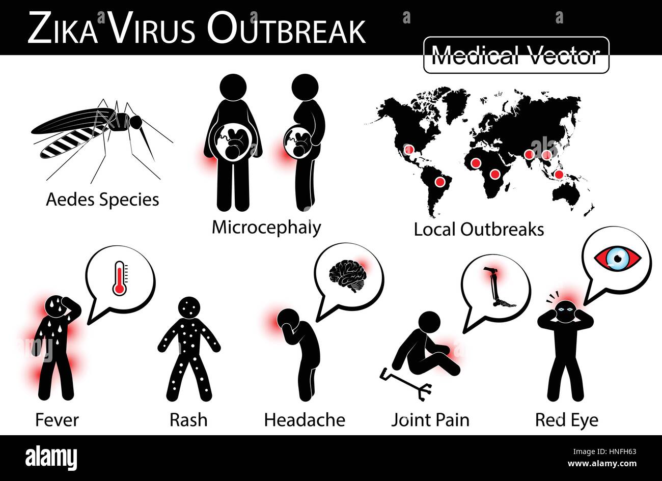 Mosquito Outbreak