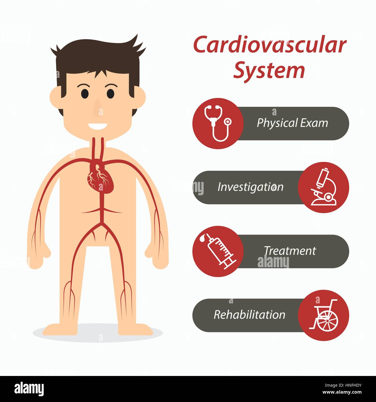 Cardiovascular system and medical line icon Stock Vector Image & Art ...