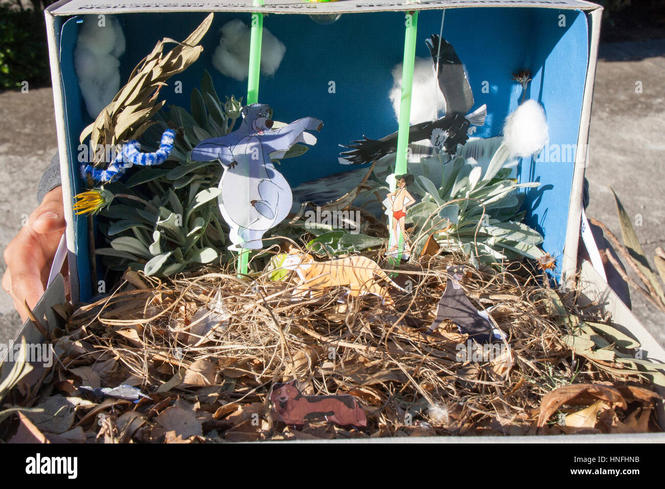 Koala hugging tree hi-res stock photography and images - Alamy