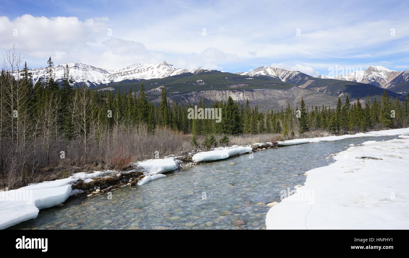 Wind farm in alberta, canada hi-res stock photography and images - Alamy