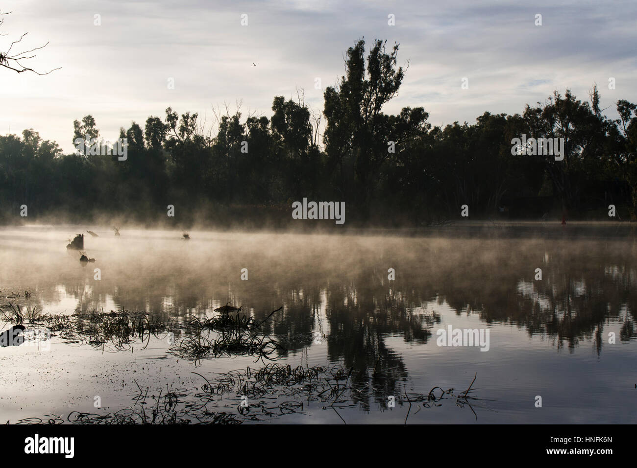 steam reflection on a lake Stock Photo - Alamy