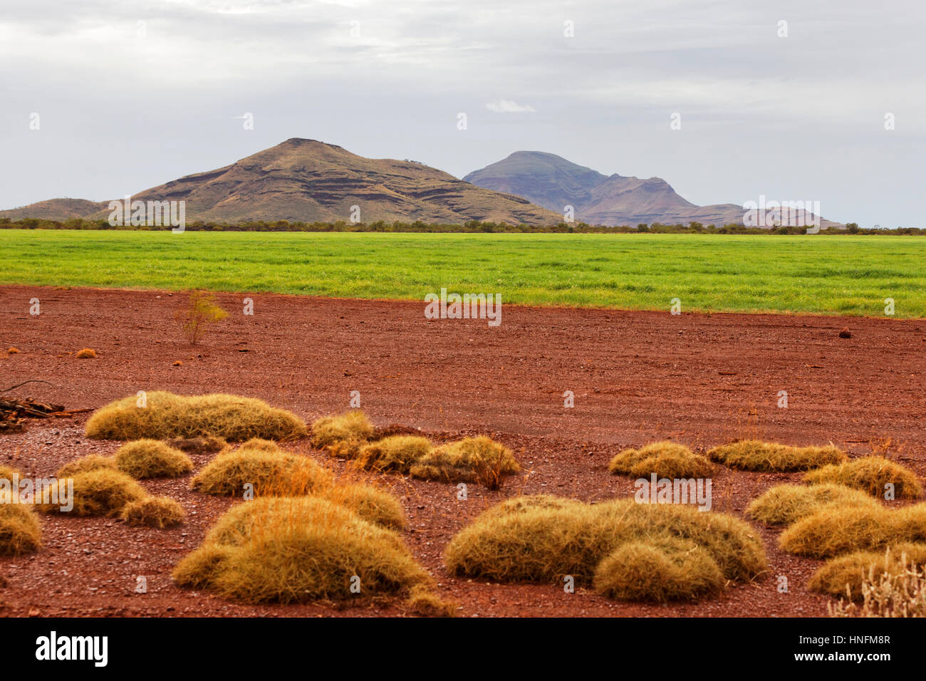 Hay growing in outback Australia for commercial purposes by Rio Tinto ...