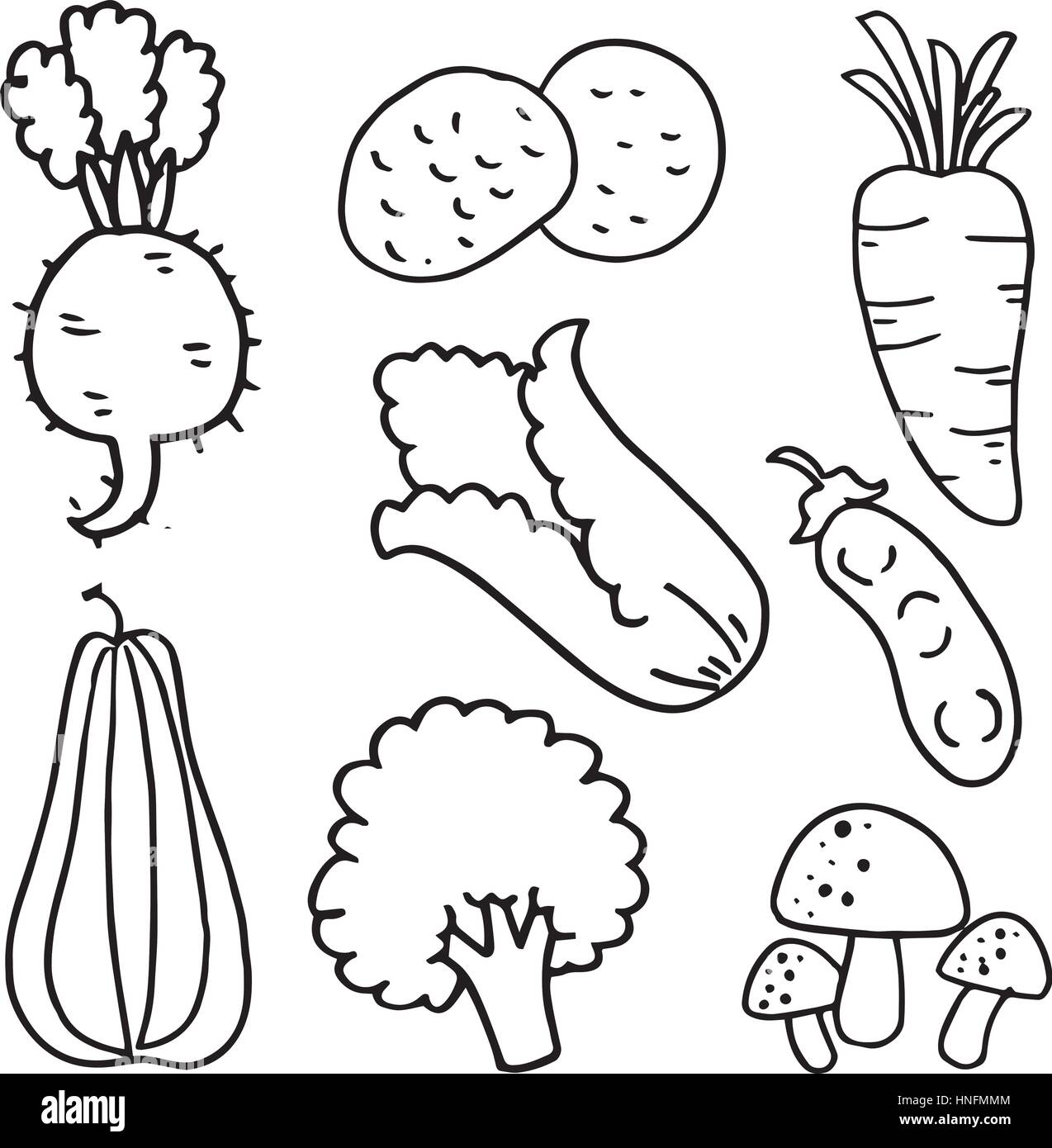 Hand draw vegetable of doodles vector illustration Stock Vector Image ...