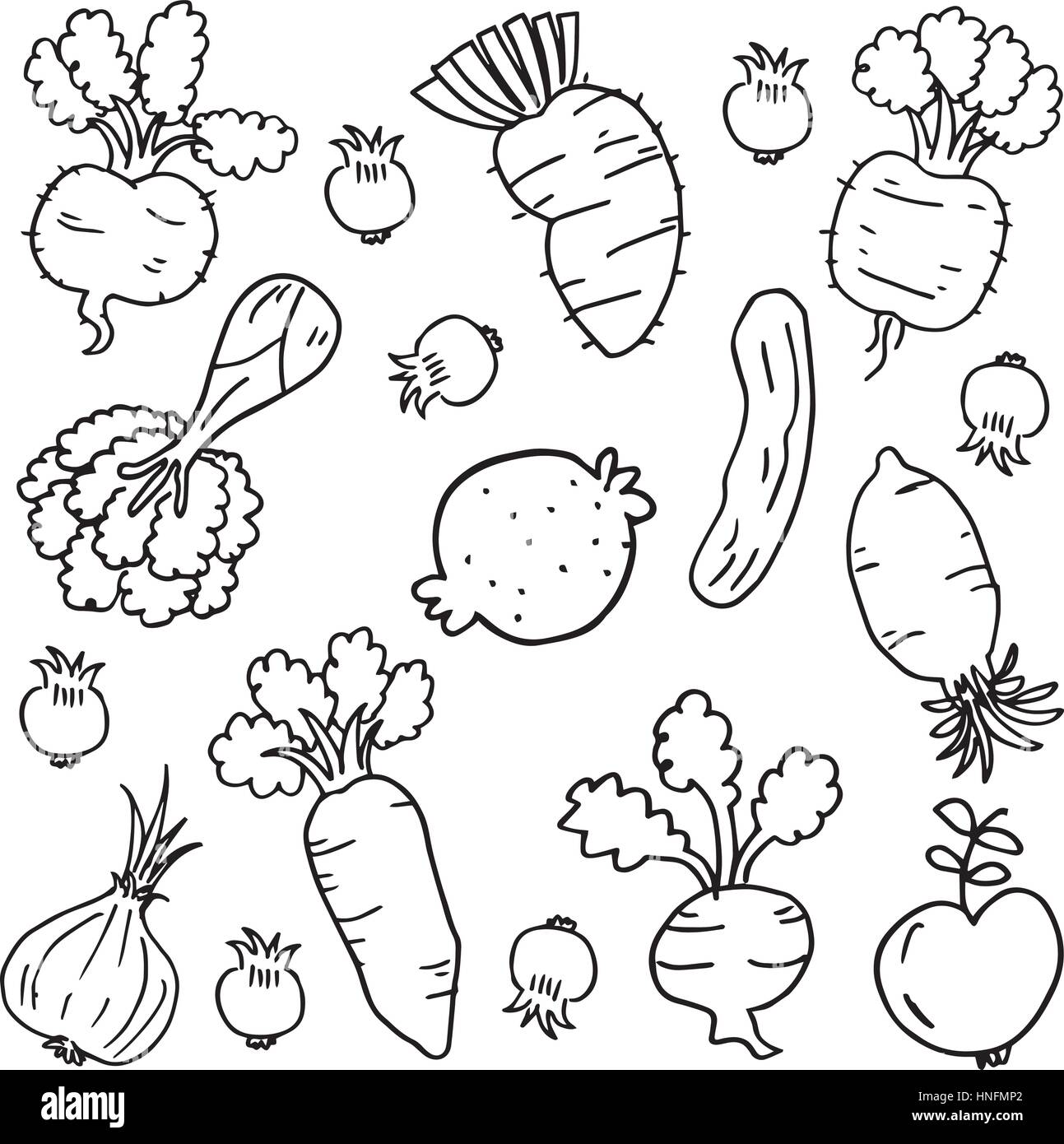 Doodle of vegetable object hand draw vector art Stock Vector Image ...