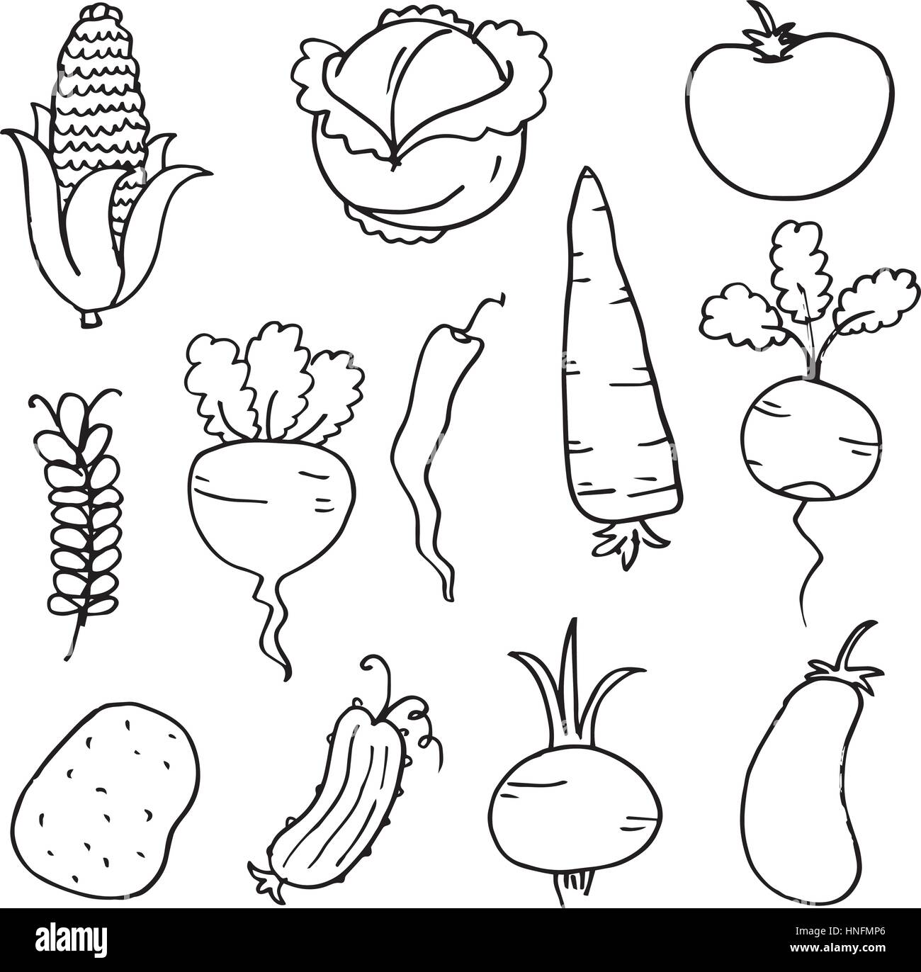 Doodle of vegetable set hand draw vector art Stock Vector Image & Art ...