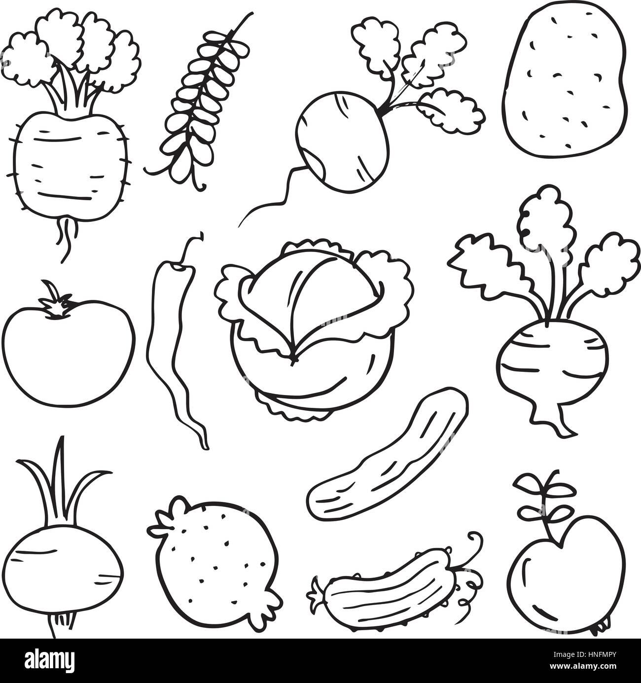 Doodle of vegetables set hand draw vector art Stock Vector Image & Art ...