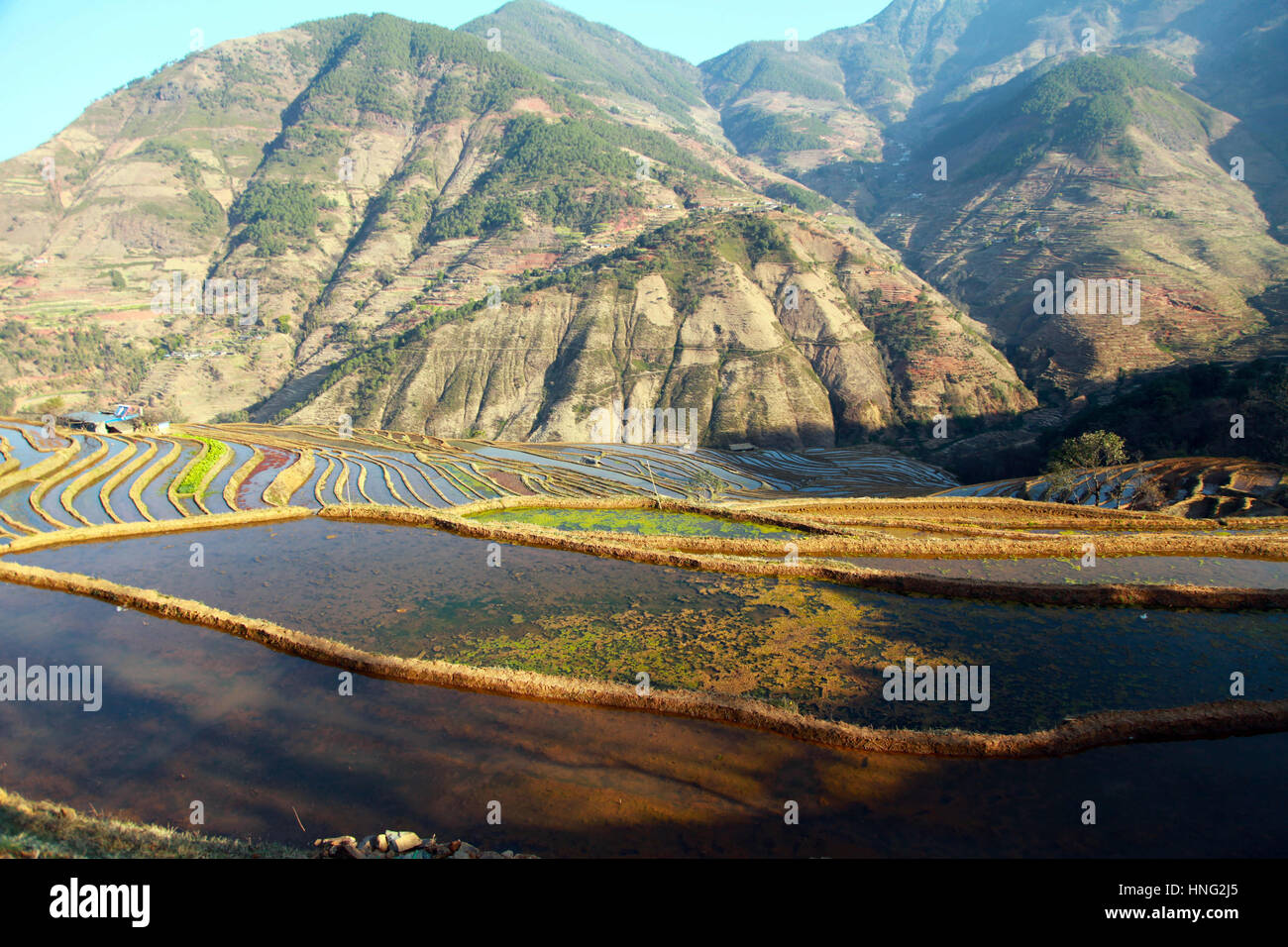 10829214 hi-res stock photography and images - Alamy