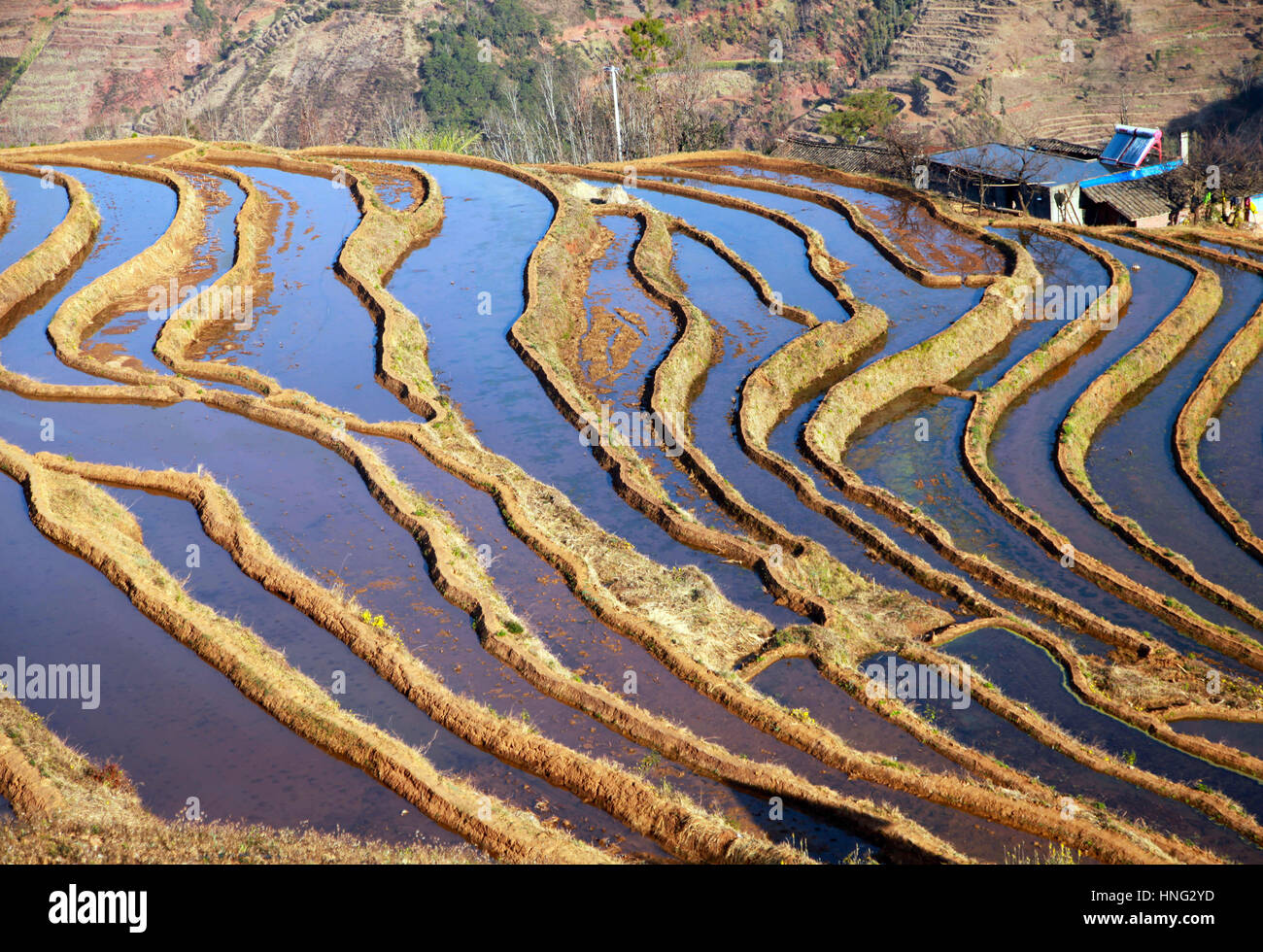 10829210 hi-res stock photography and images - Alamy