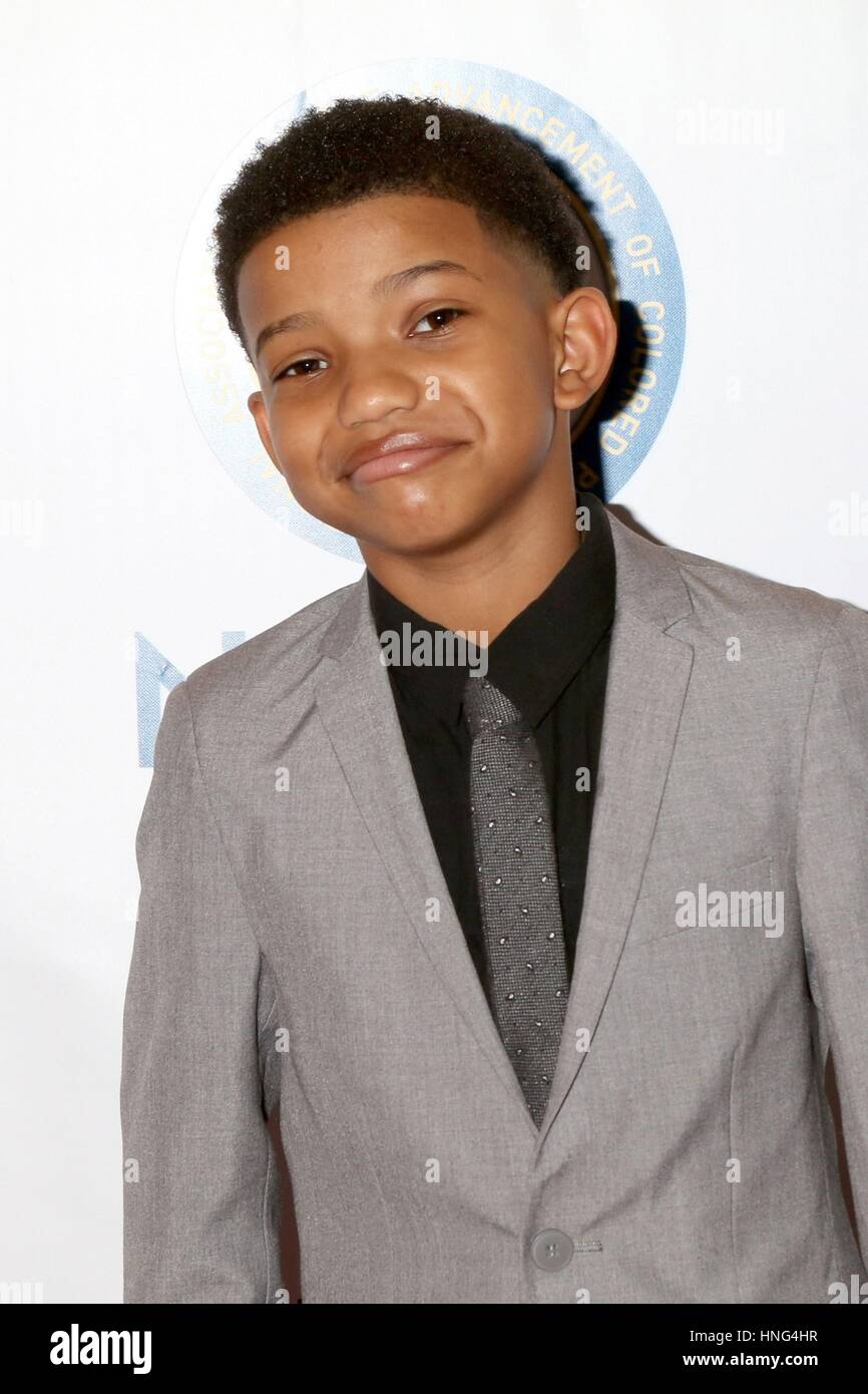 Pasadena, CA. 11th Feb, 2017. Lonnie Chavis at arrivals for 48th NAACP ...