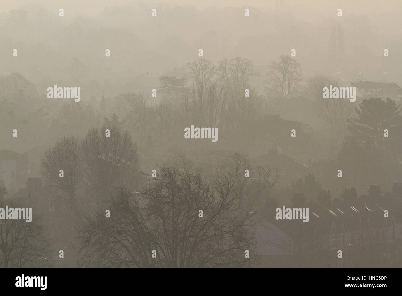 Wimbledon London, UK. 13th Feb, 2017. Wimbledon landscape and tree tops ...