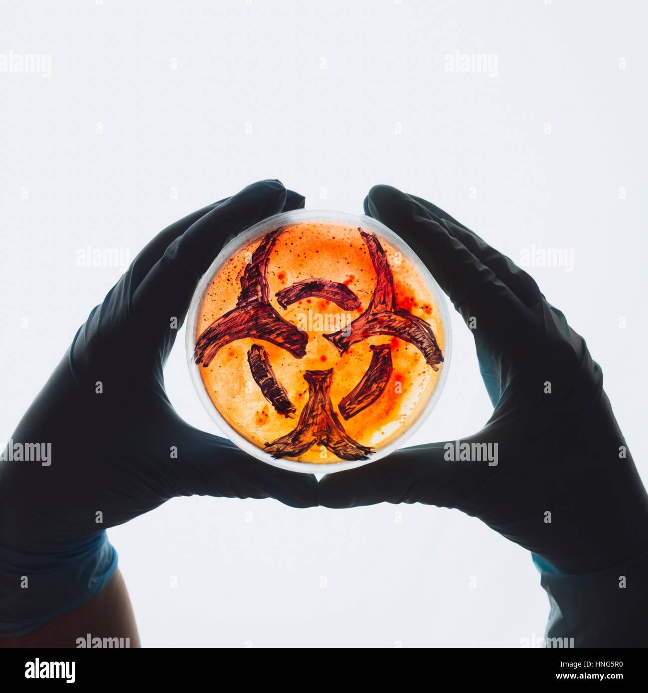 Hands hold Petri dish with biohazard symbol sign. Contaminated water ...
