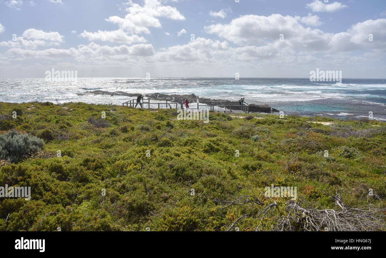 Rottnest Island Cathedral Rocks High Resolution Stock Photography and ...
