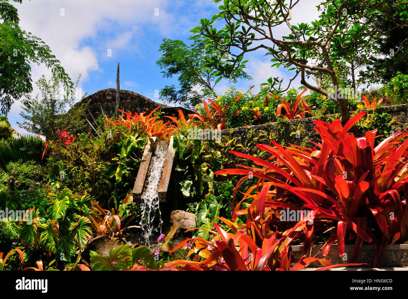 The Caribbean, island of Nevis Stock Photo - Alamy