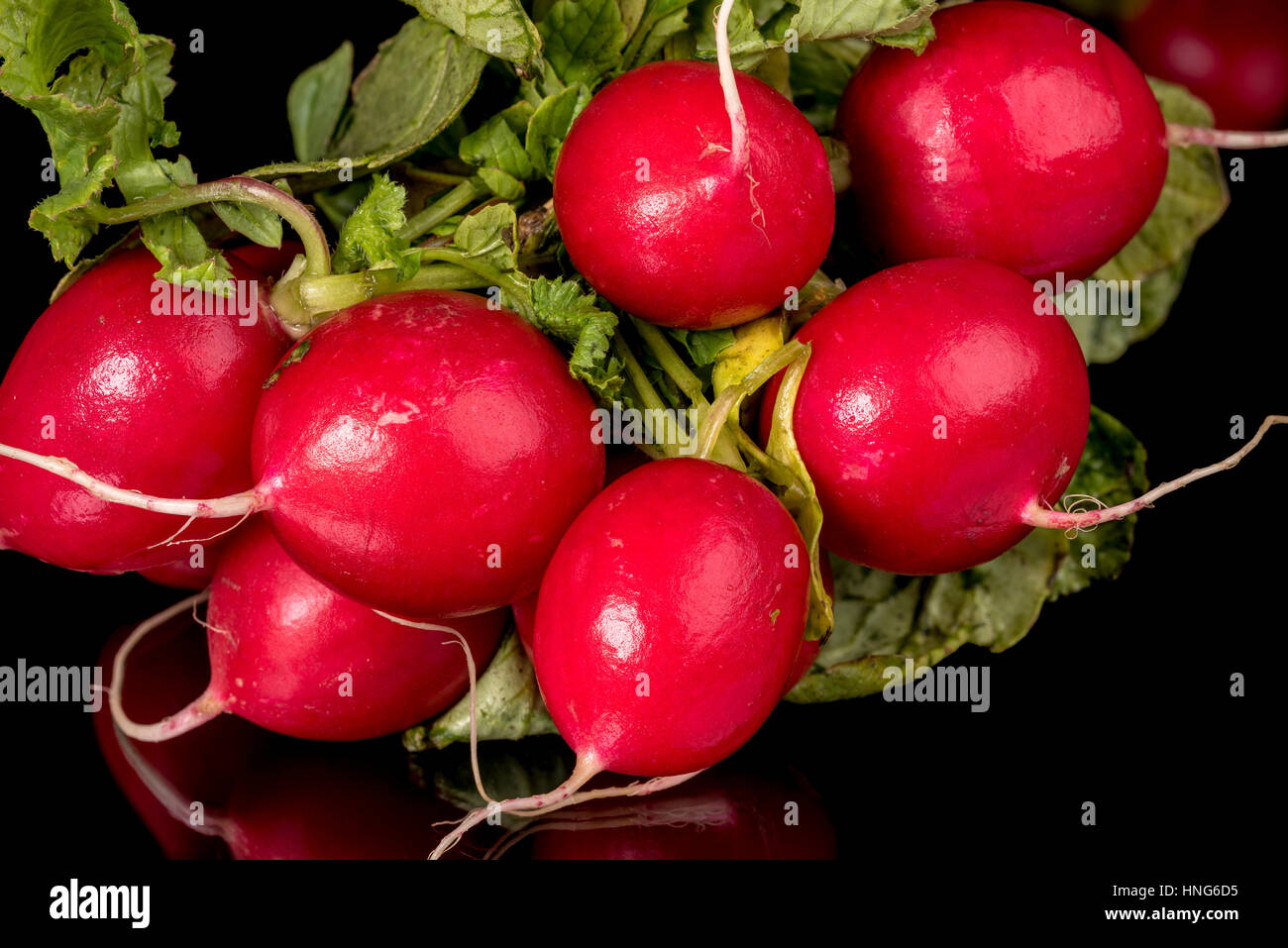 Black radish on reflective hi-res stock photography and images - Alamy