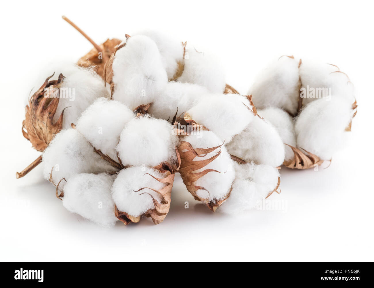 Cotton cloth production Cut Out Stock Images & Pictures - Alamy