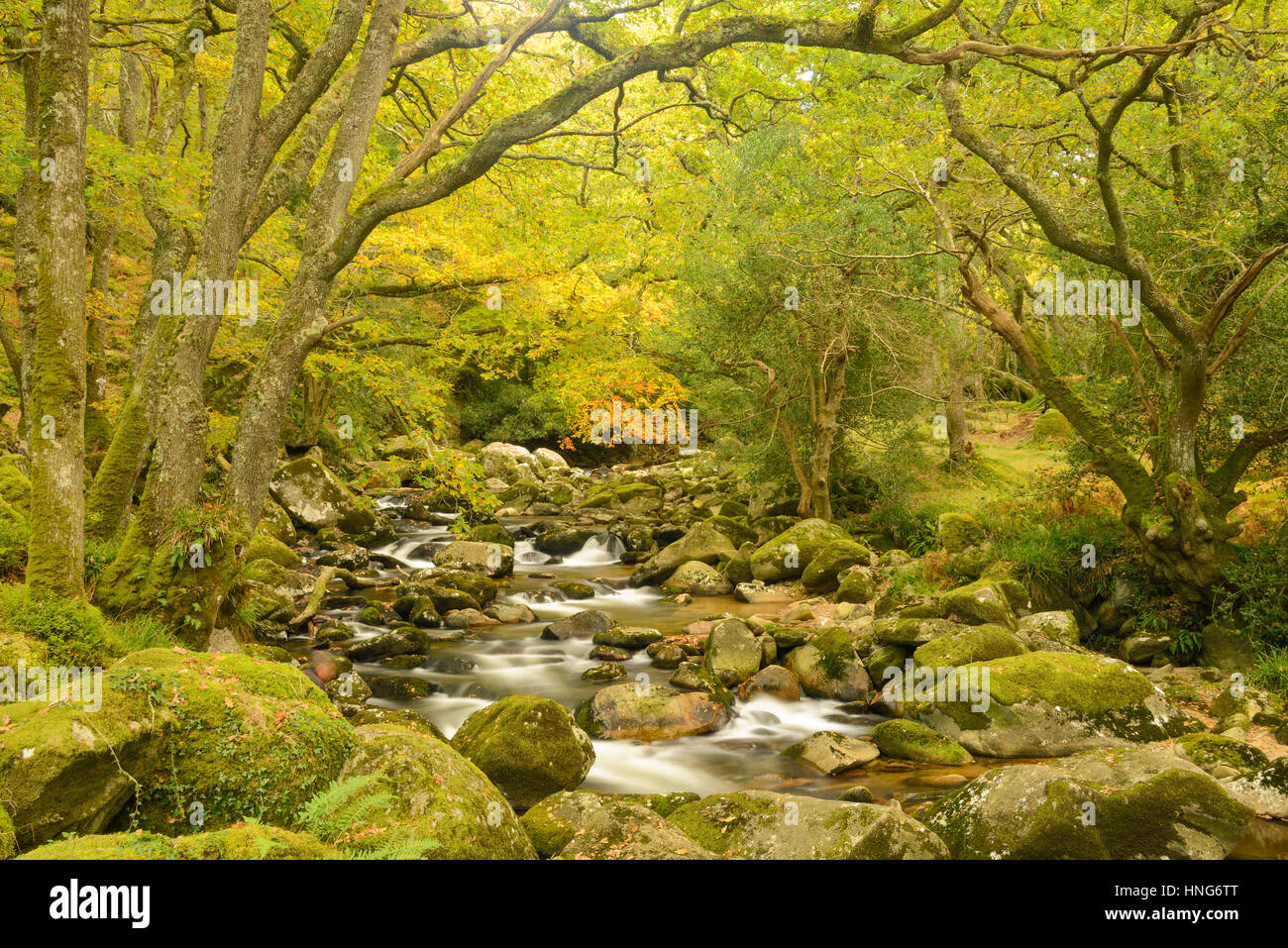River Plym in autumn nr Shaugh Prior Stock Photo - Alamy
