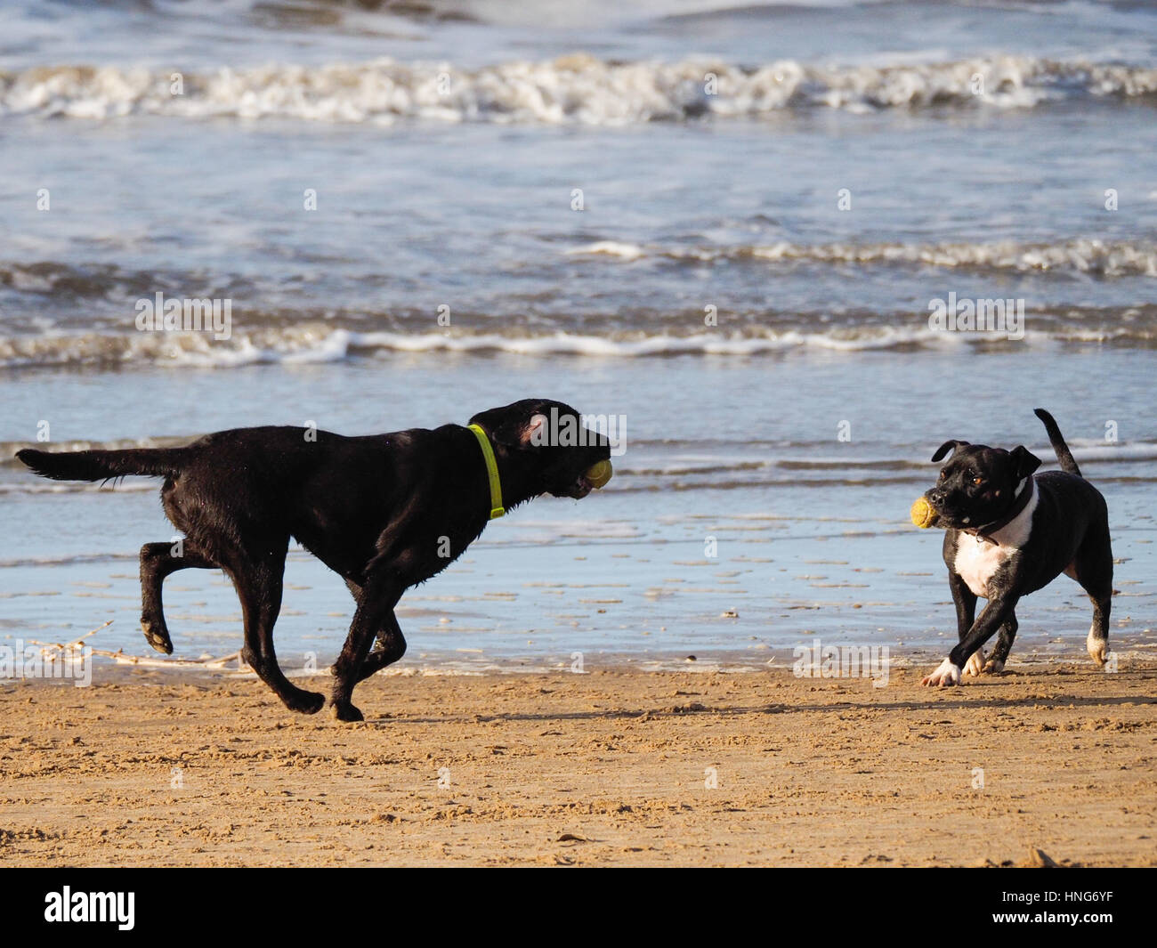 Weather Formby Merseyside. UK.2nd January 2017. People and their dogs ...