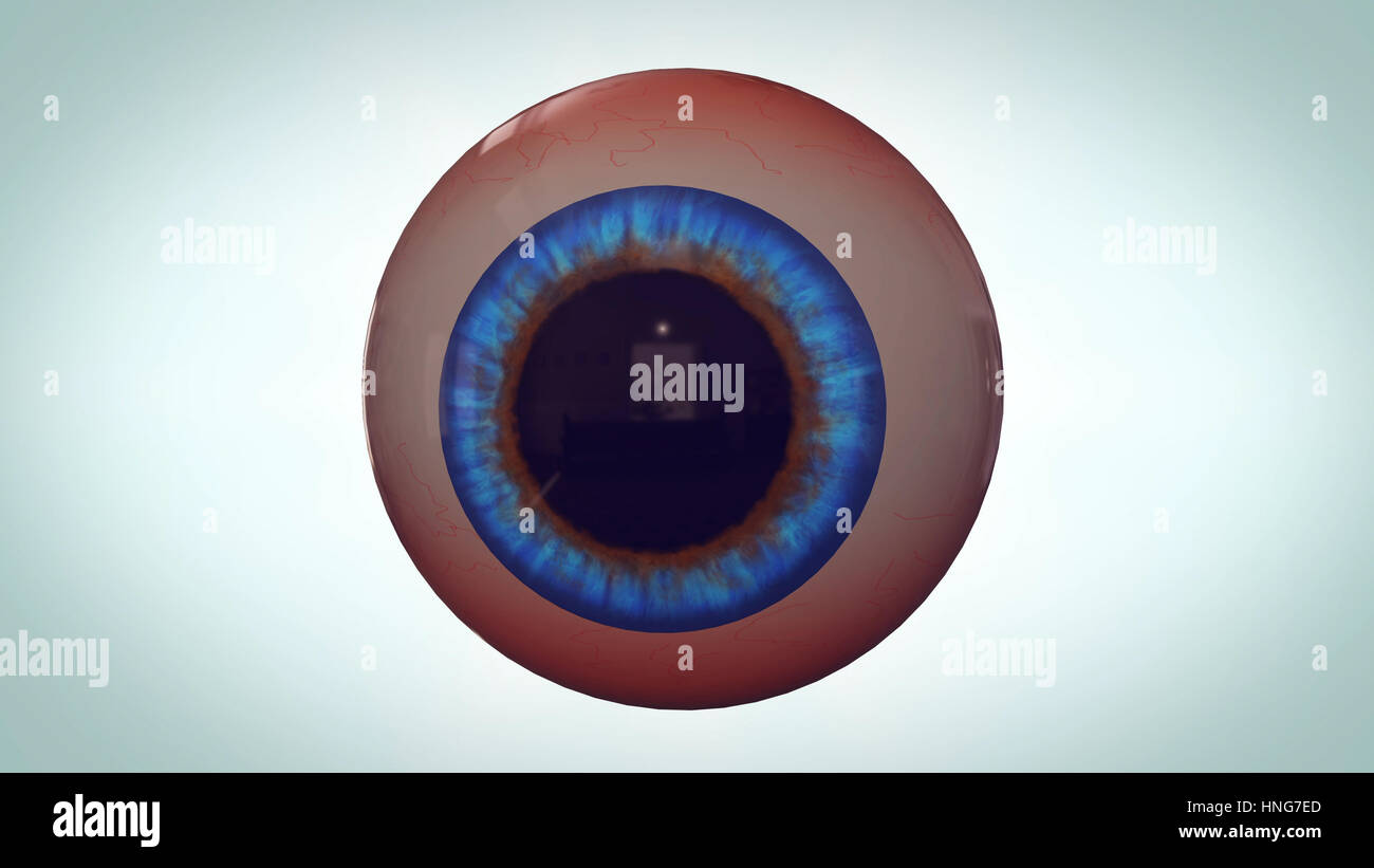 Eyeballs veins hi-res stock photography and images - Alamy