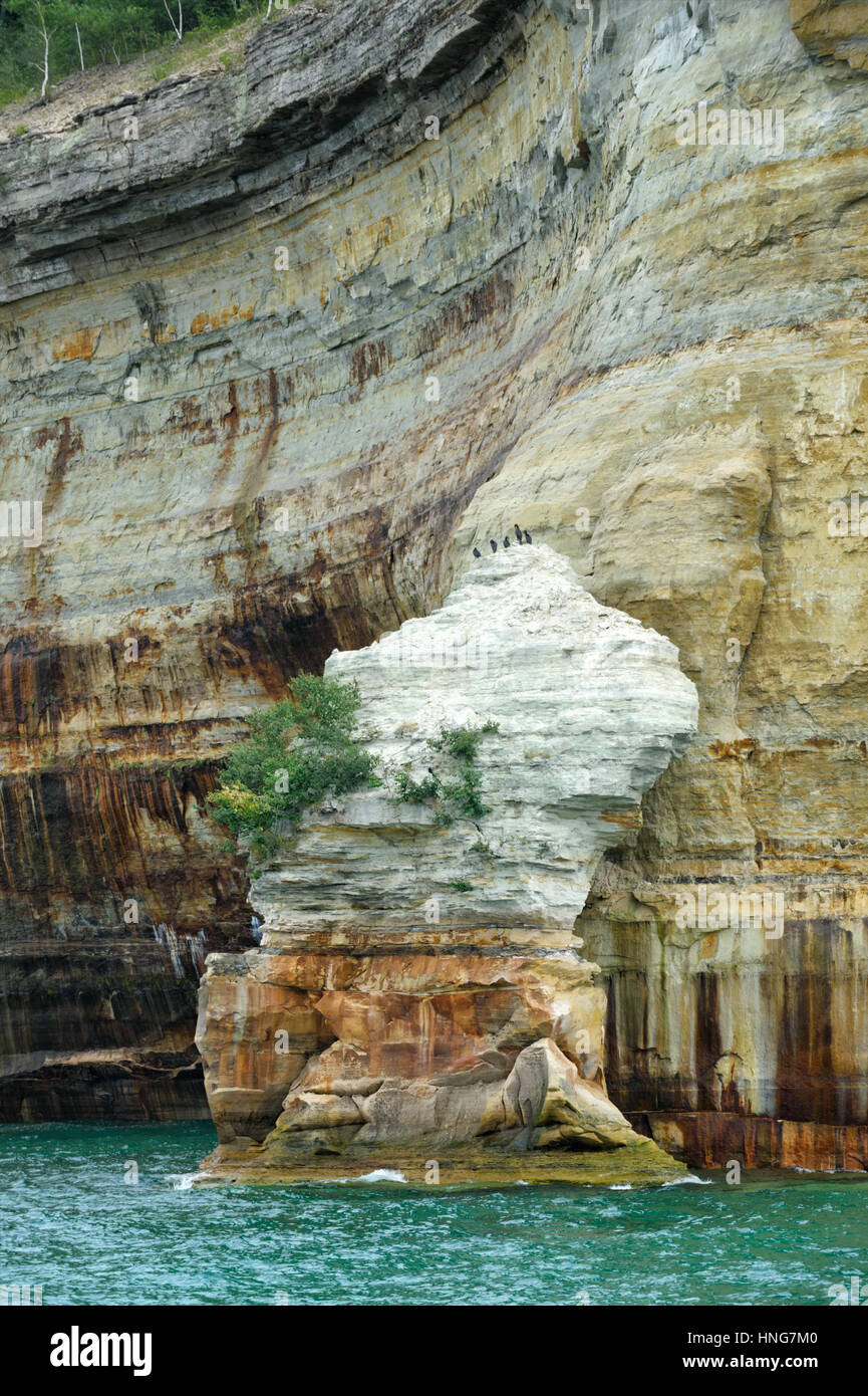 High tree-topped cliff of layered sedimentary rock on Lake Superior at ...