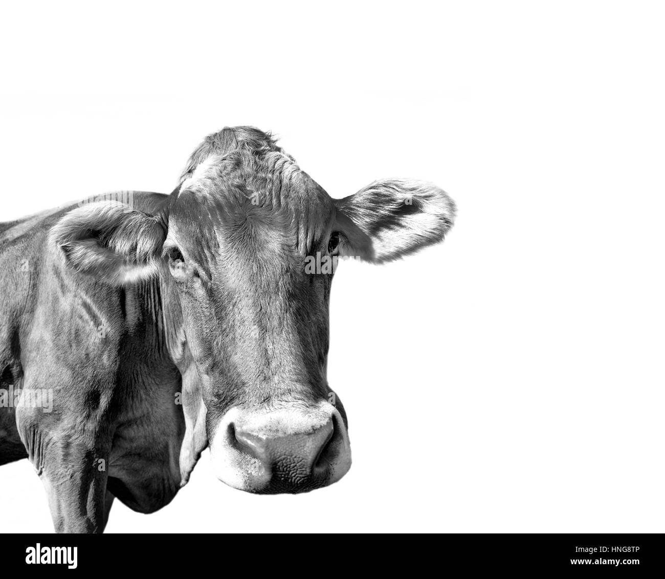 Fun farm Black and White Stock Photos & Images - Alamy