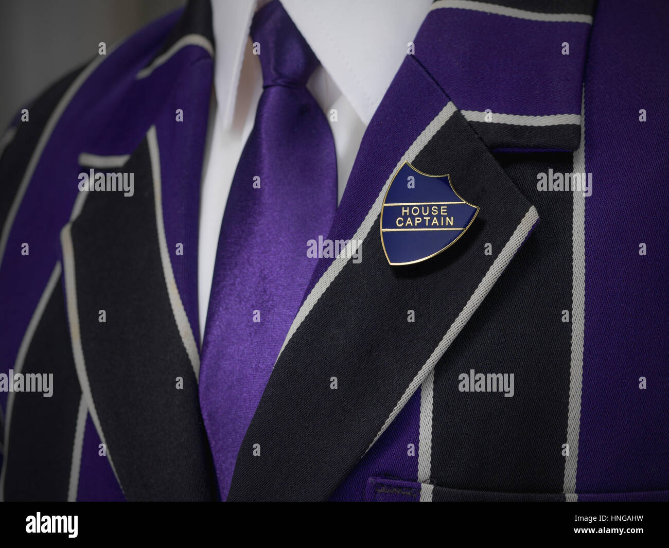 Single school badge on boys blazer Stock Photo - Alamy