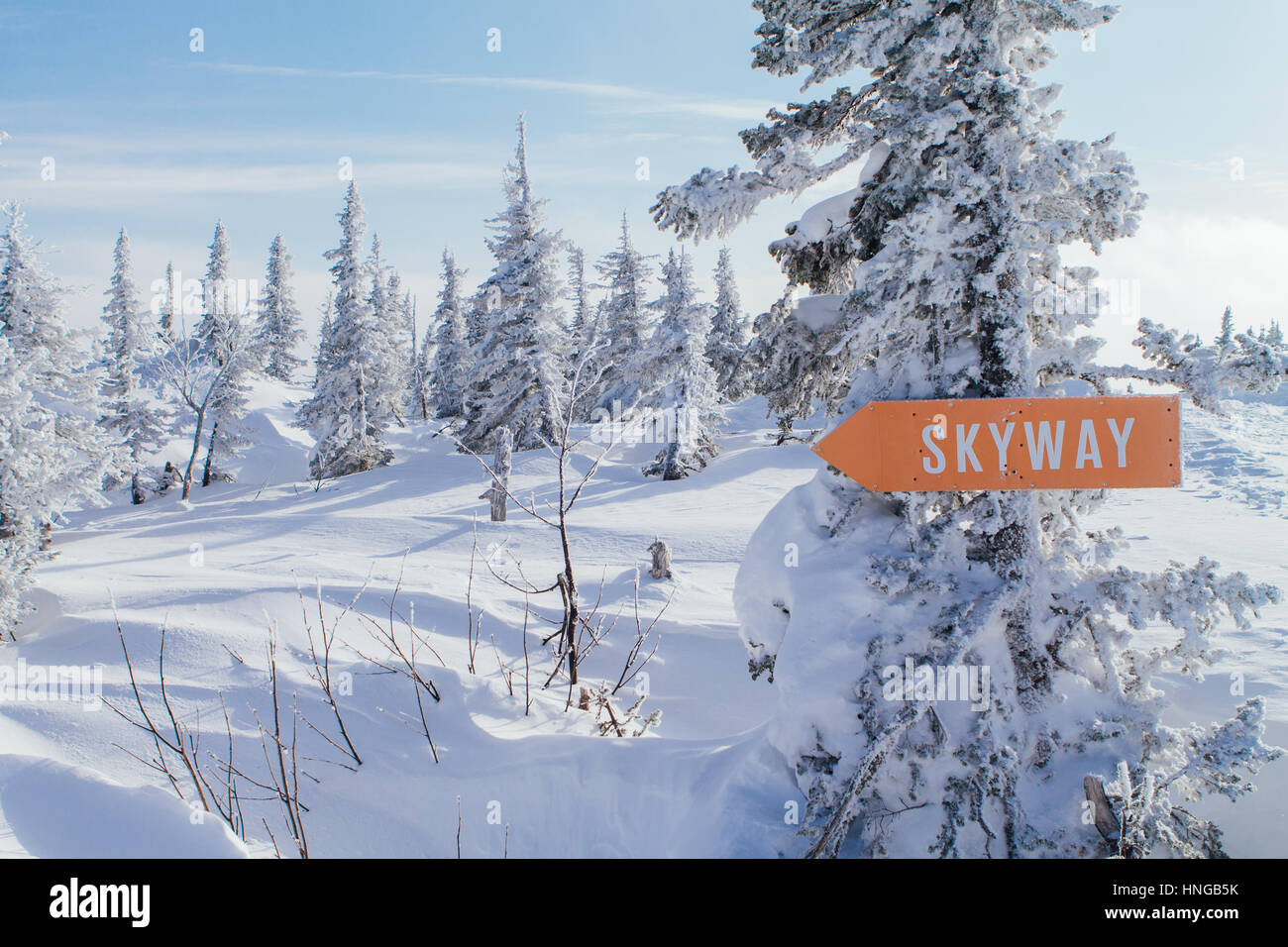 Frozen orange signpost on the tree covered with ice Stock Photo - Alamy