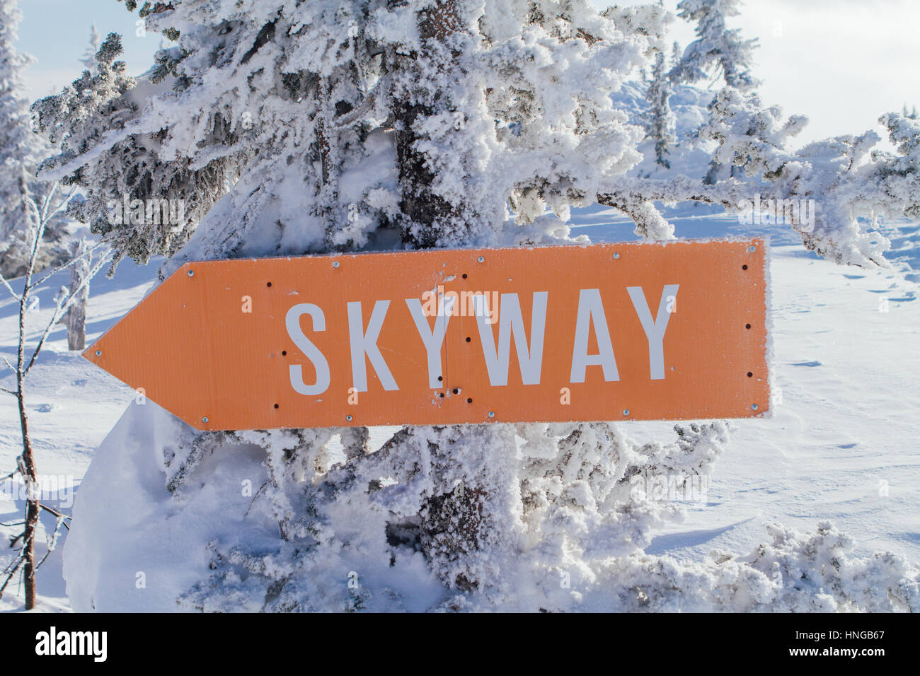 Frozen orange signpost on the tree covered with ice Stock Photo - Alamy