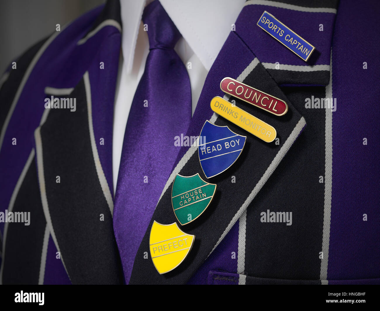 School badges hi-res stock photography and images - Alamy