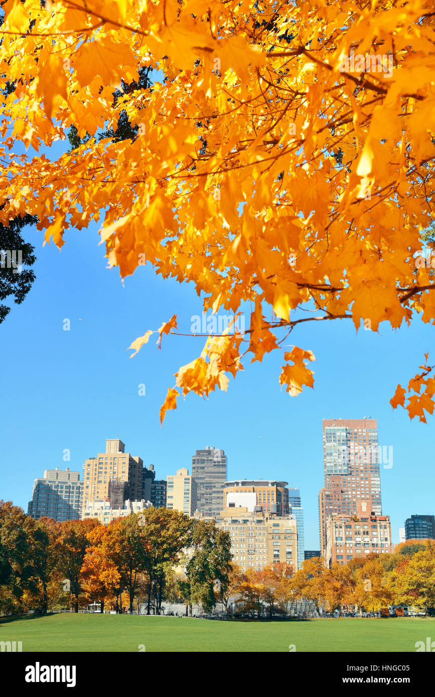 Manhattan midtown skyline viewed from central park in Autumn in New ...