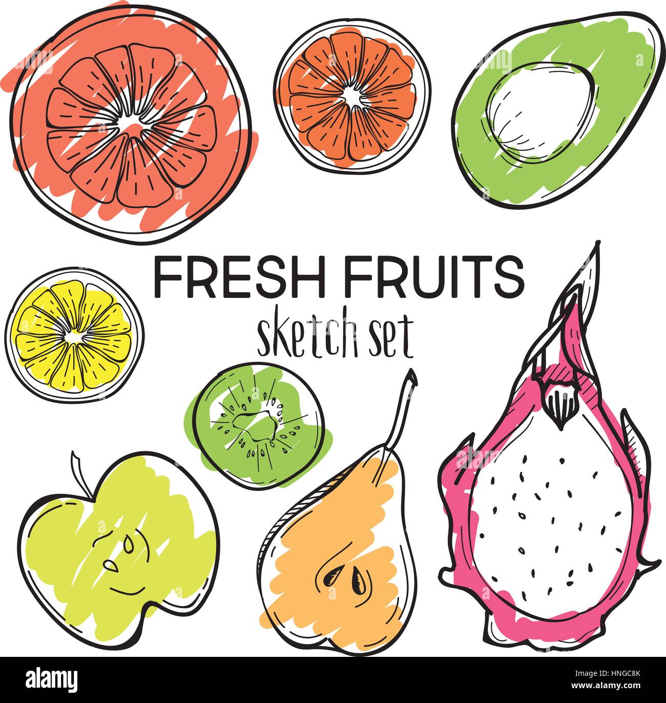 Fresh fruits vector sketch set. Hand drawn design elements Stock Vector ...