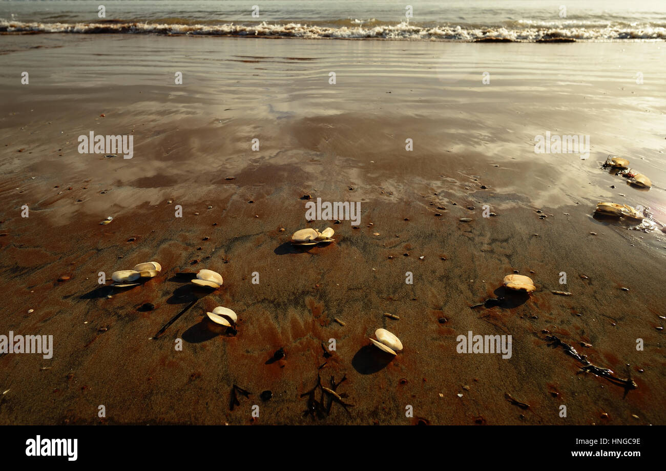 Washed up on deserted beach hi-res stock photography and images - Alamy