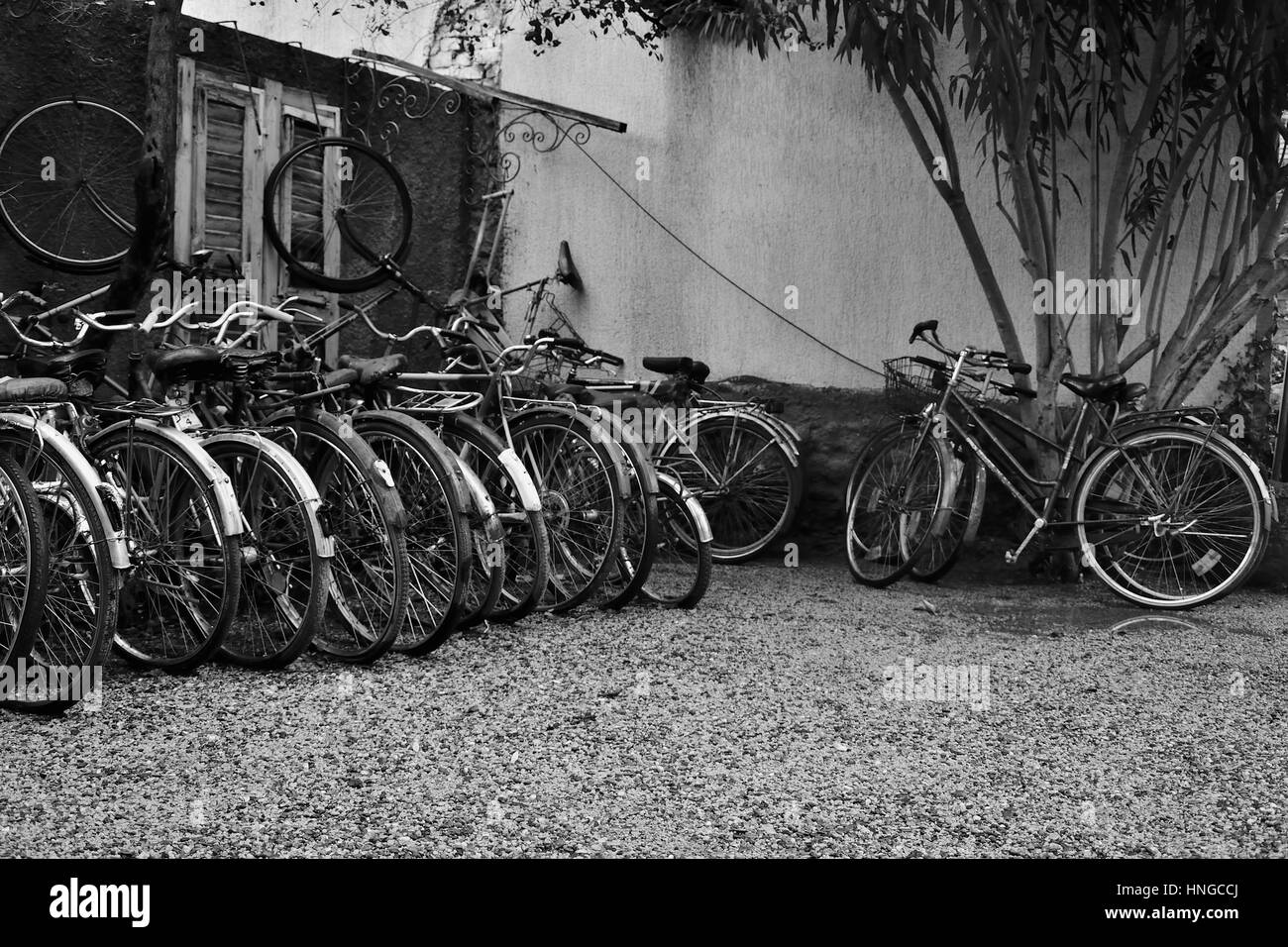 Group of bicycles in black and white Stock Photo - Alamy