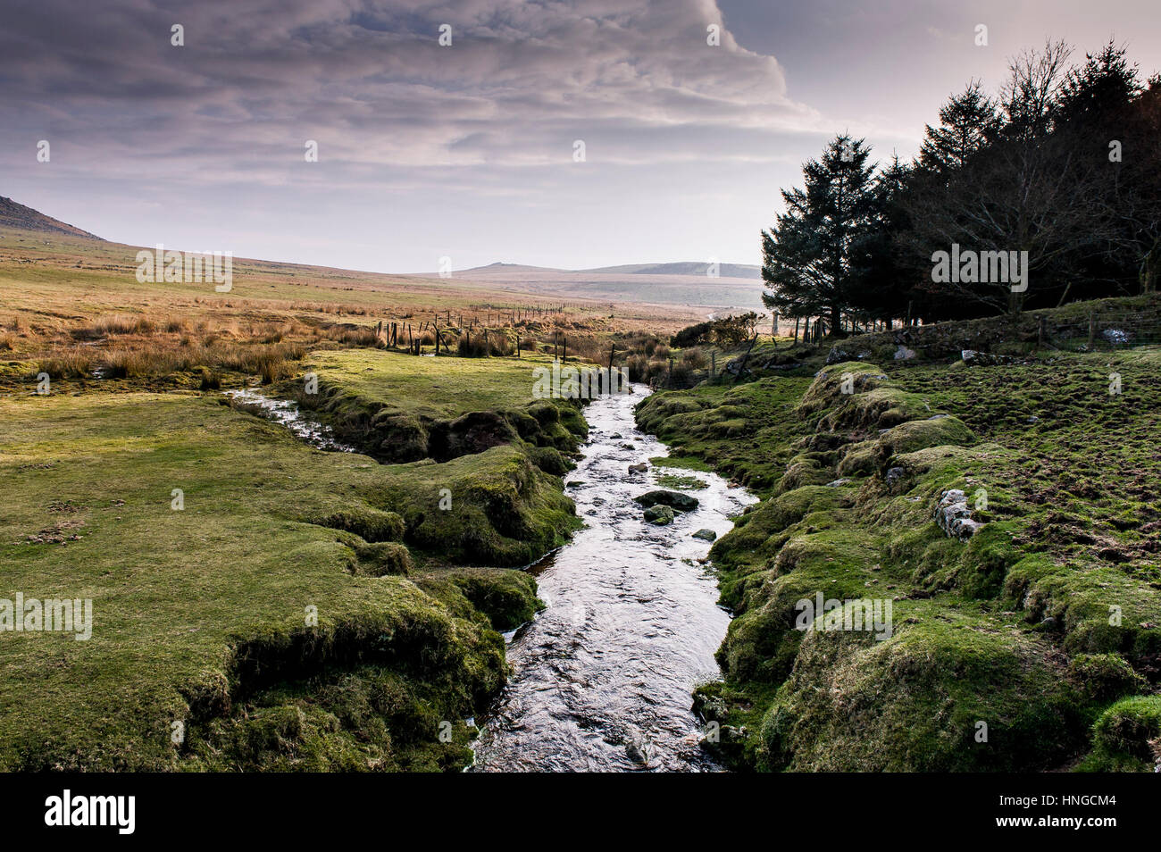 A small river runs through marshy ground on Rough Tor, designated as an ...