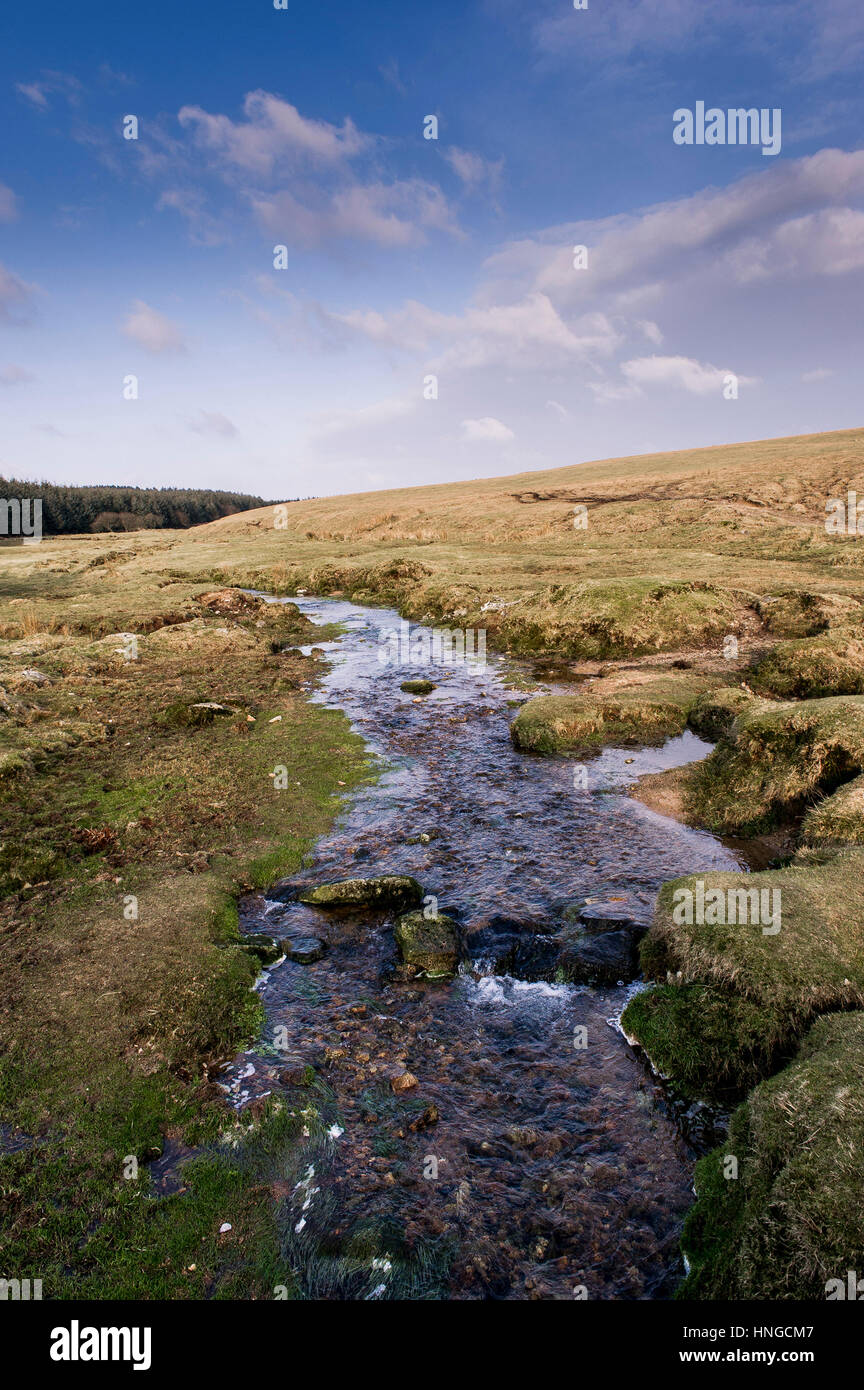 Rough ground cornwall hi-res stock photography and images - Alamy