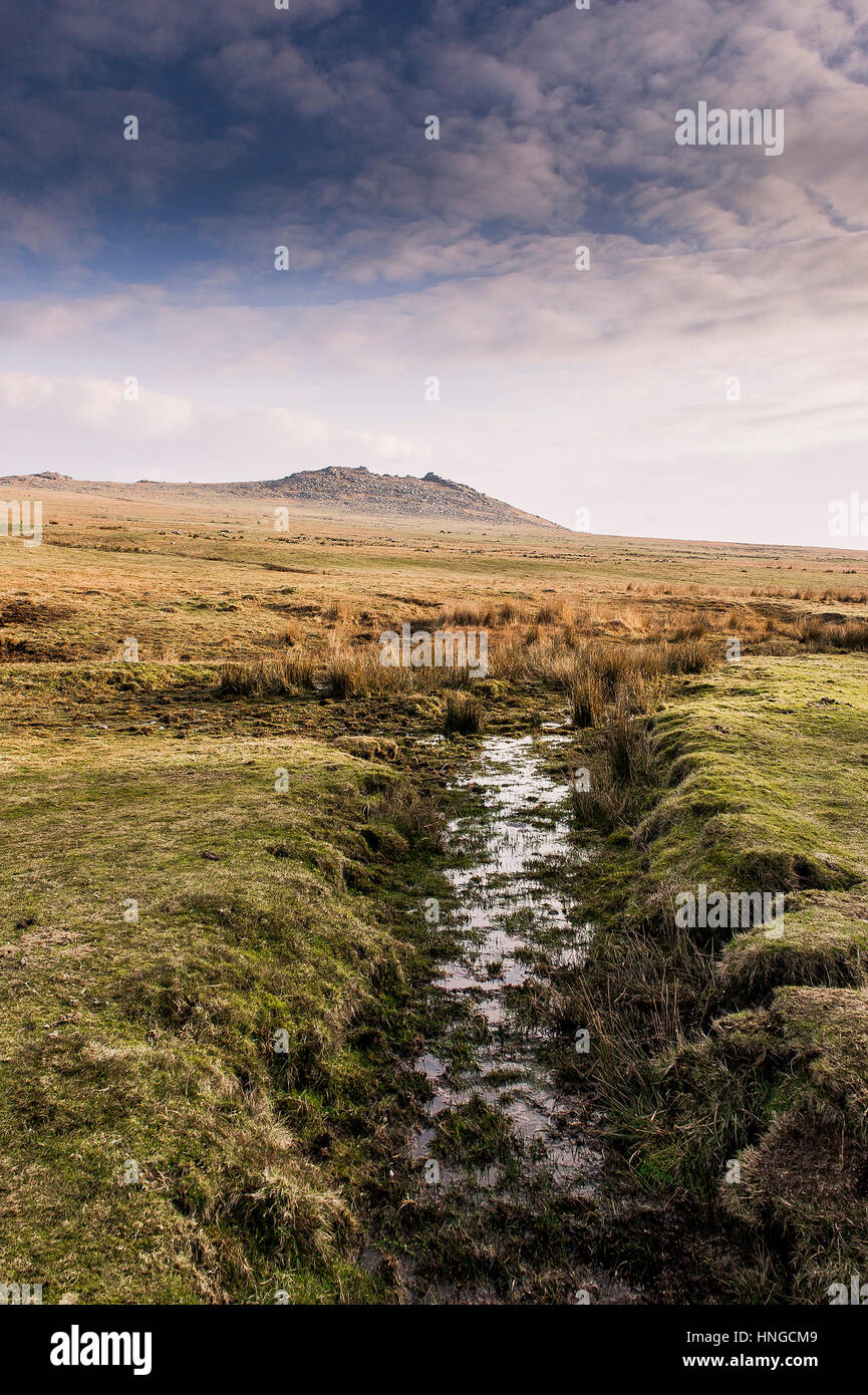 Marshy, waterlogged ground on Rough Tor, designated as an area of ...