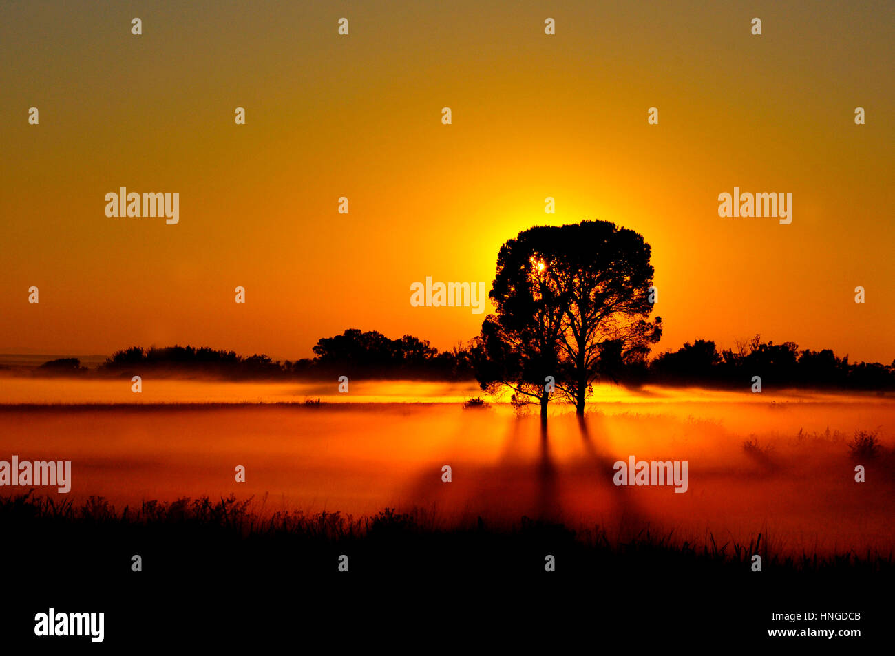 Highway free hi-res stock photography and images - Alamy