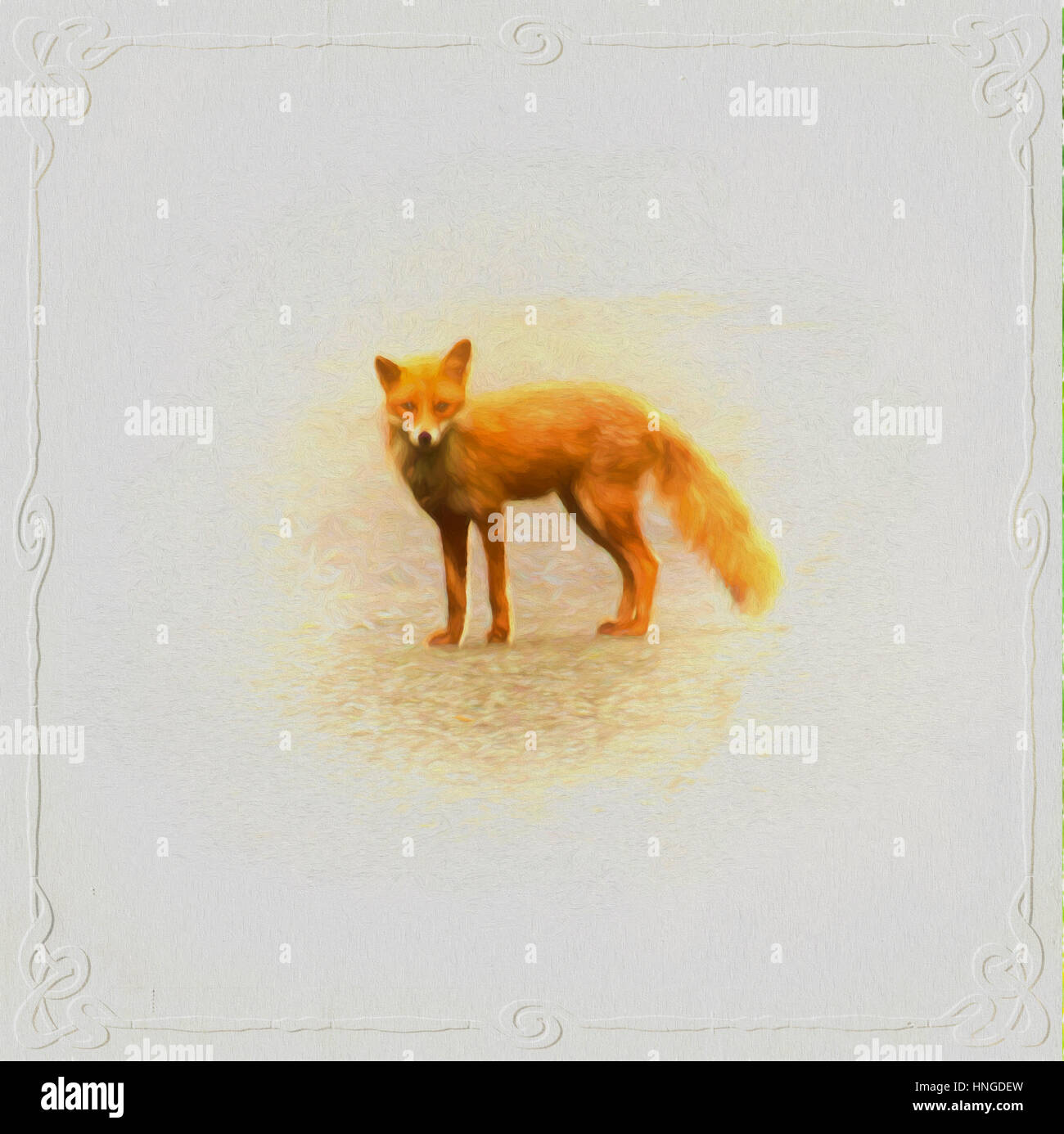 Little Red Fox Stock Photo - Alamy