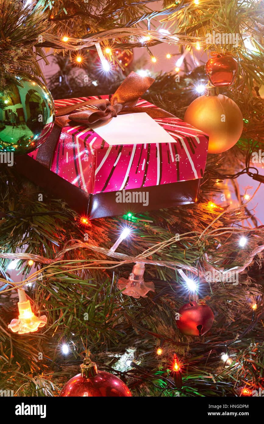 wrapped gift new year present in christmas tree background Stock Photo ...