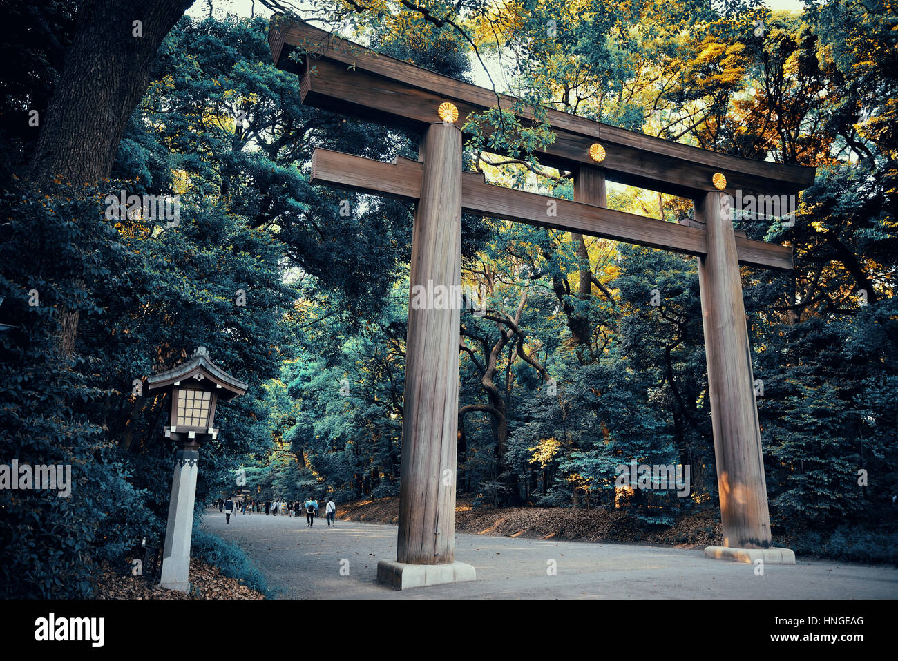 Meiji jingu shrine tokyo hi-res stock photography and images - Alamy