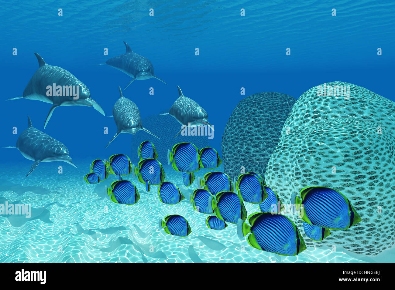 Black Porpoise High Resolution Stock Photography and Images - Alamy