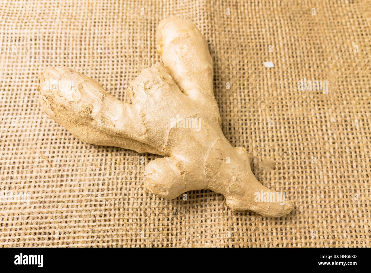 Ginger root. Ginger for tea and spices Stock Photo - Alamy