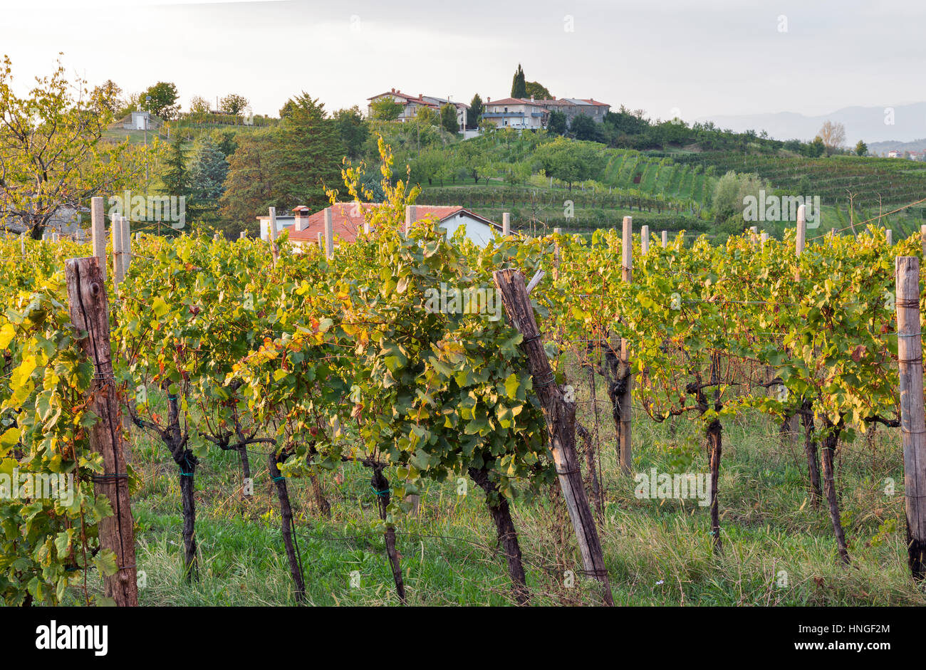 Rural mediterranean landscape with village, vineyards and village at ...