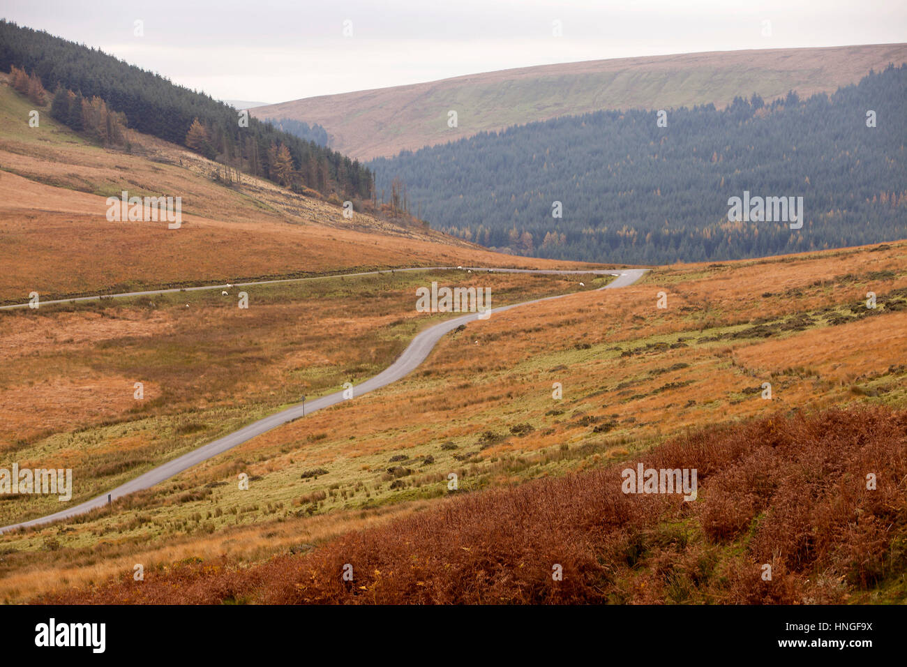 The Road through Torpantau. The narrow road through the Brecon Beacon's ...