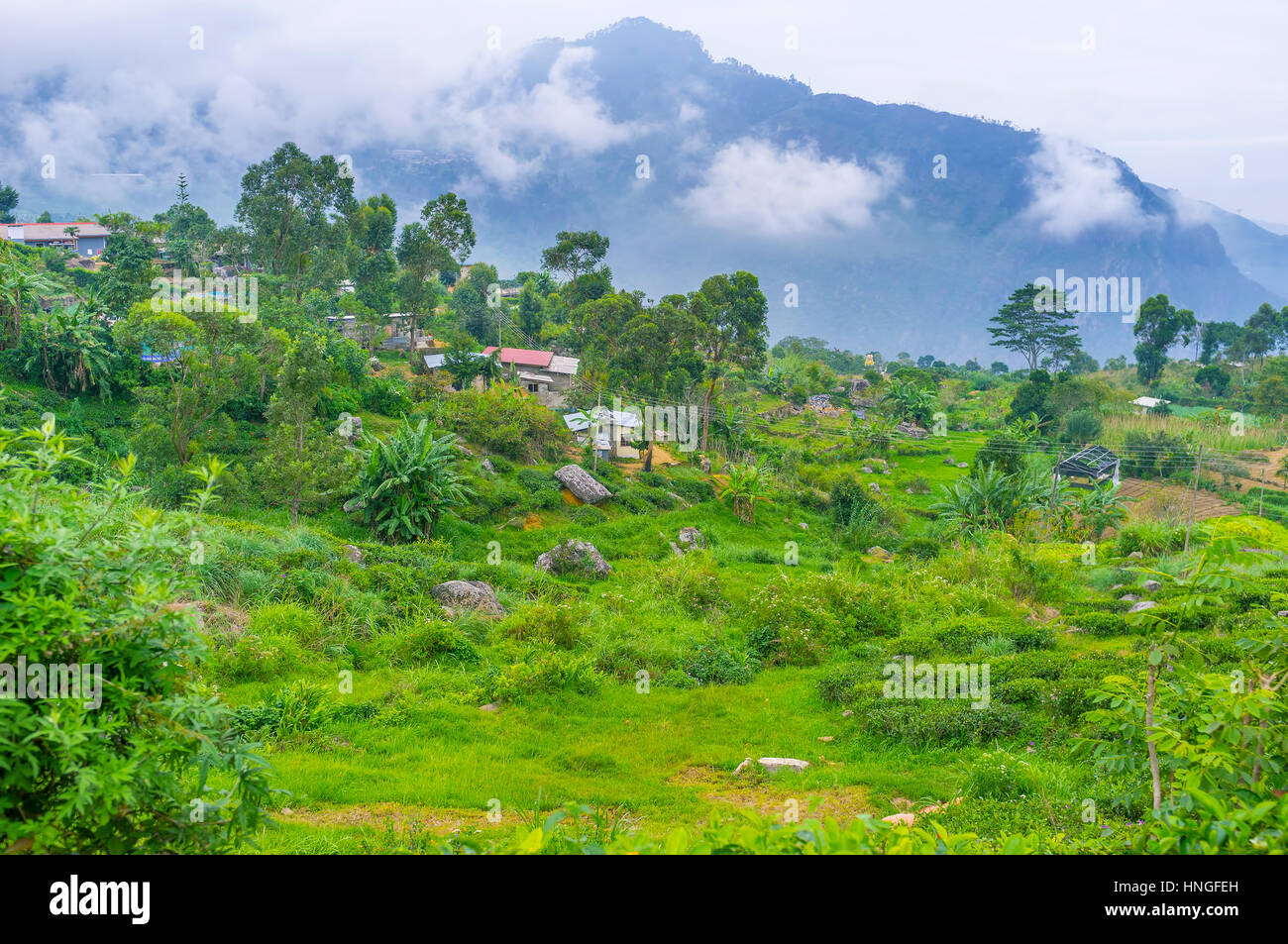The rural landscape with small highland village of Sri Lanka Stock ...