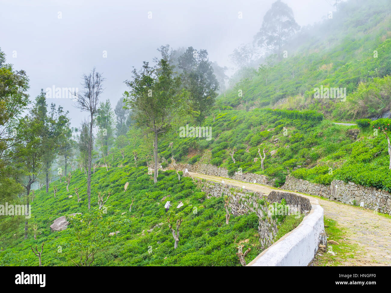 The narrow country road is the only road that leads to the Thomas ...